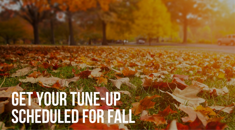 Why Get a Fall Furnace Tune-Up? - Lakewood Plumbing & Heating